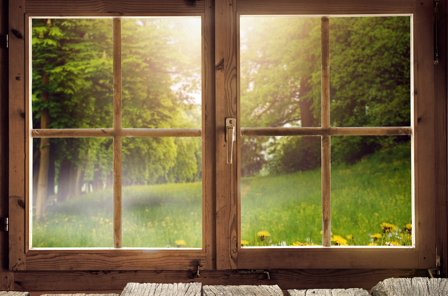 Preparing Your Windows for Spring - Complete Window Care Colorado